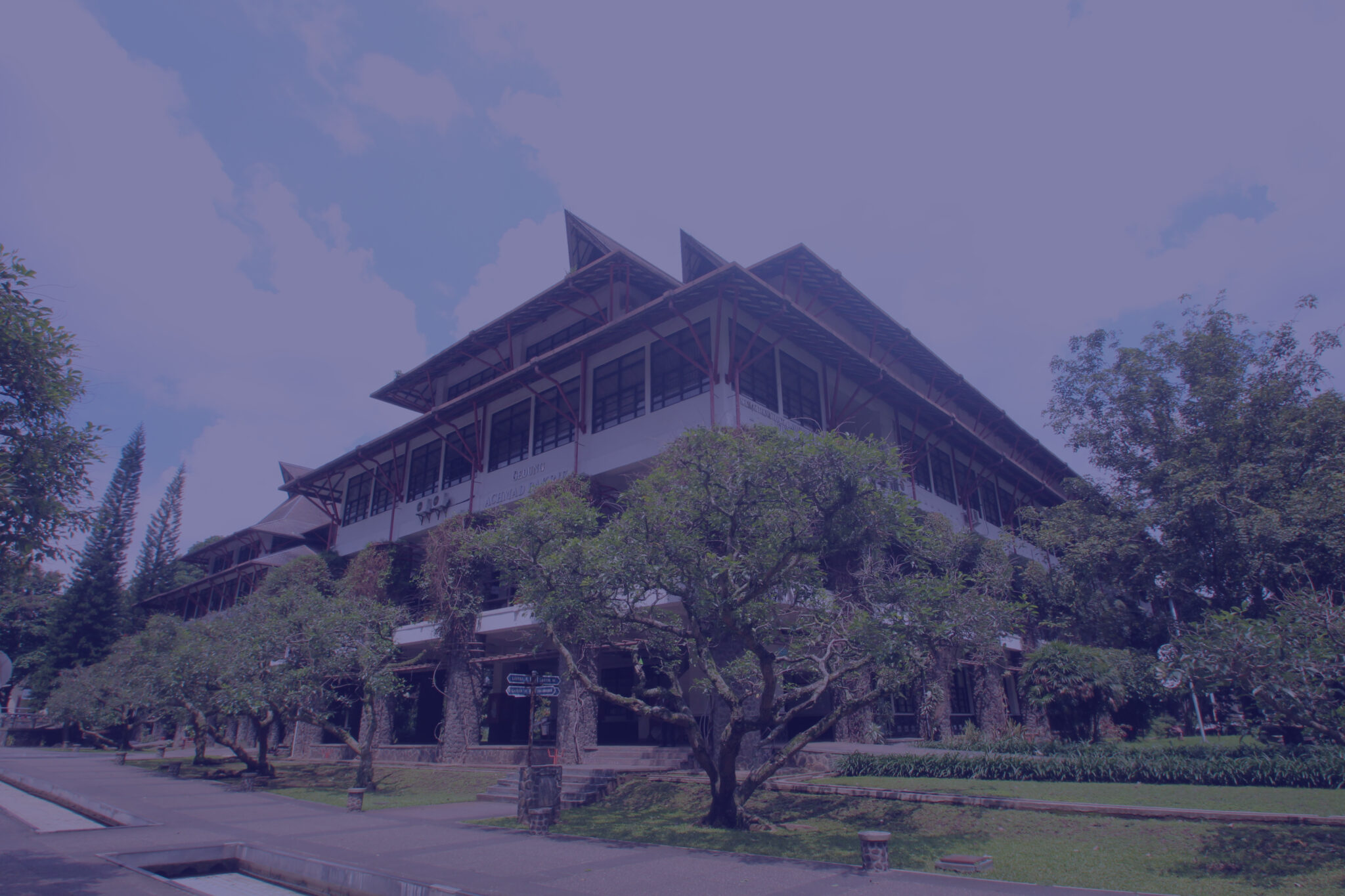 Postgraduate Programs – STEI