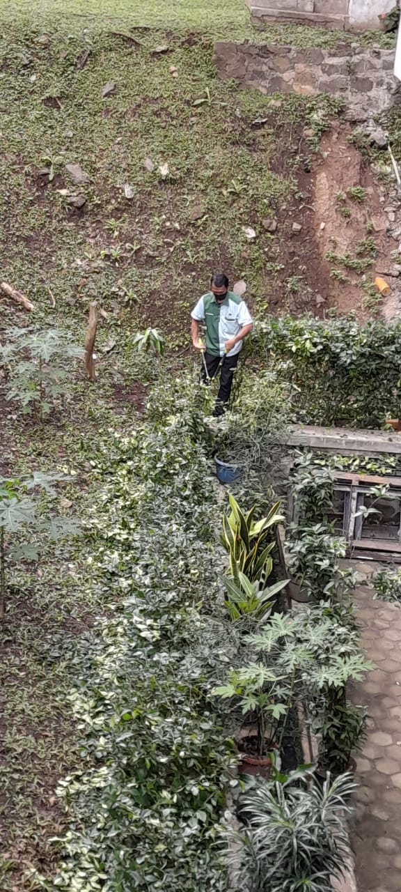 Gemah Ripah – STEI