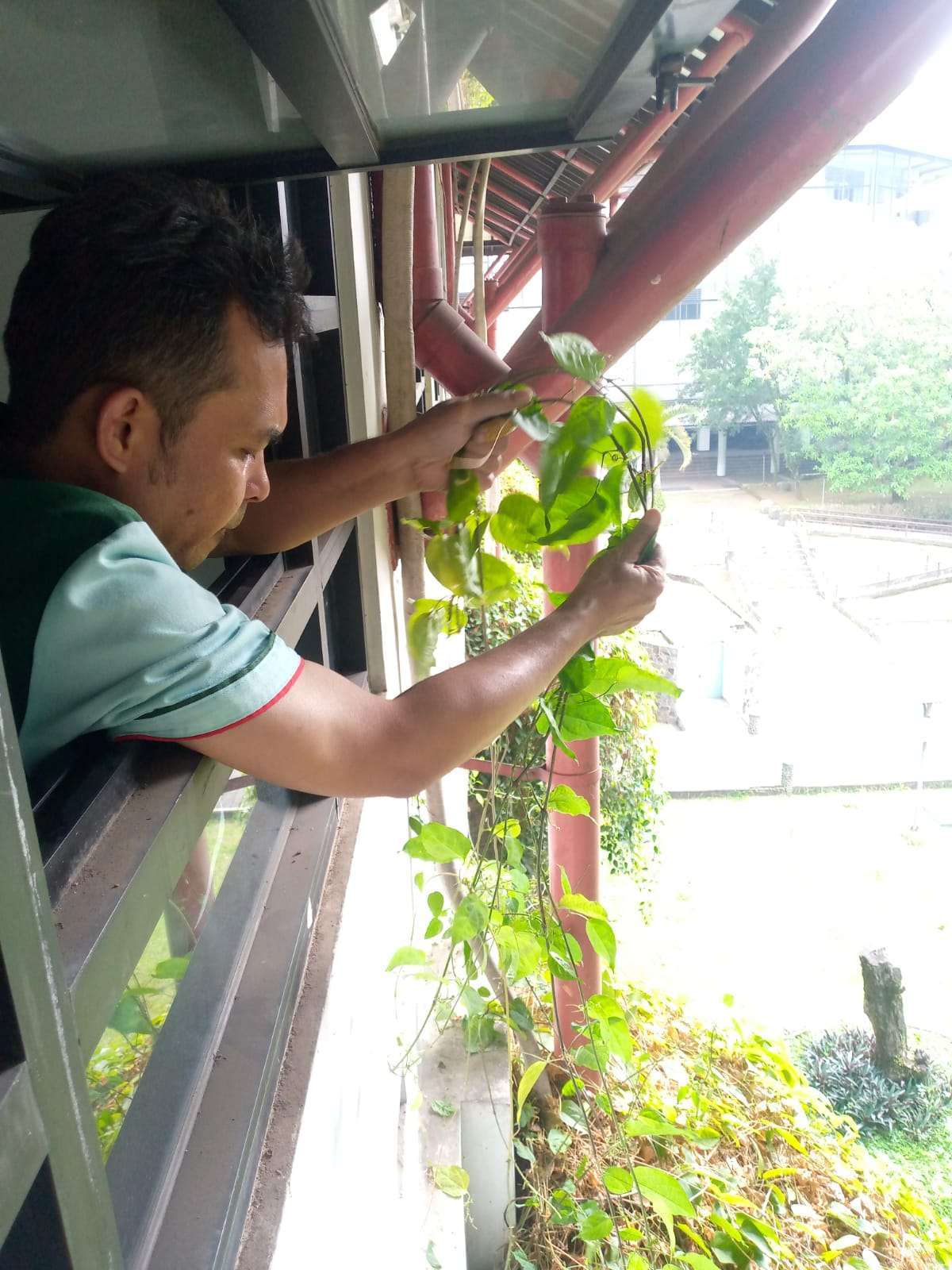 Gemah Ripah – STEI